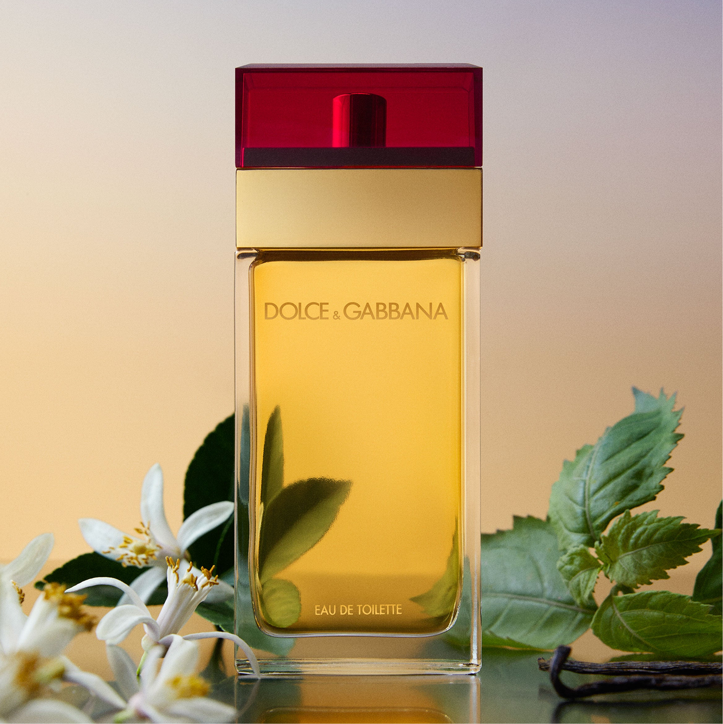 DOLCE GABBANA POUR FEMME EAU DE TOILETTE 100ML TESTER Essencias Japan
